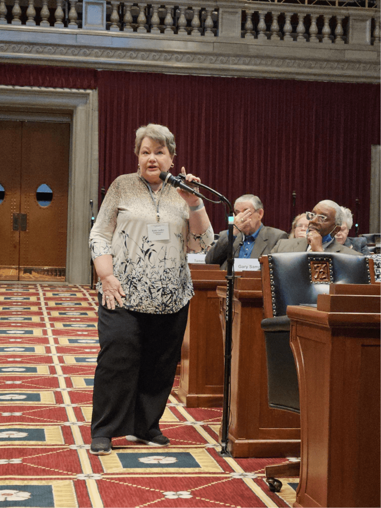 Delegates to the Silver Haired Legislature Choose Their Priorities For ...